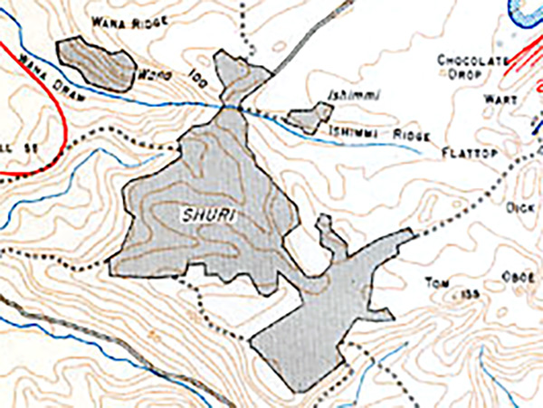 Pacific Wrecks - Map of Shuri and Wana area in central Okinawa Island
